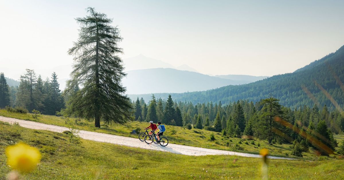 Biking in the Gaistal Valley | Cycling in the Region Seefeld, Tirol