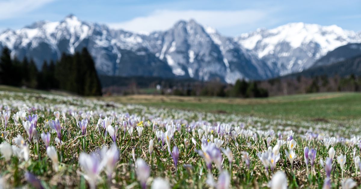 Spring tips: The most beautiful places in spring