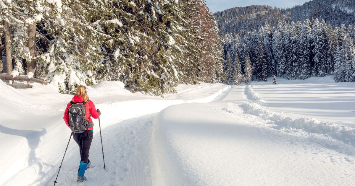 Winter hiking trails in Region Seefeld – Snowy paths & views
