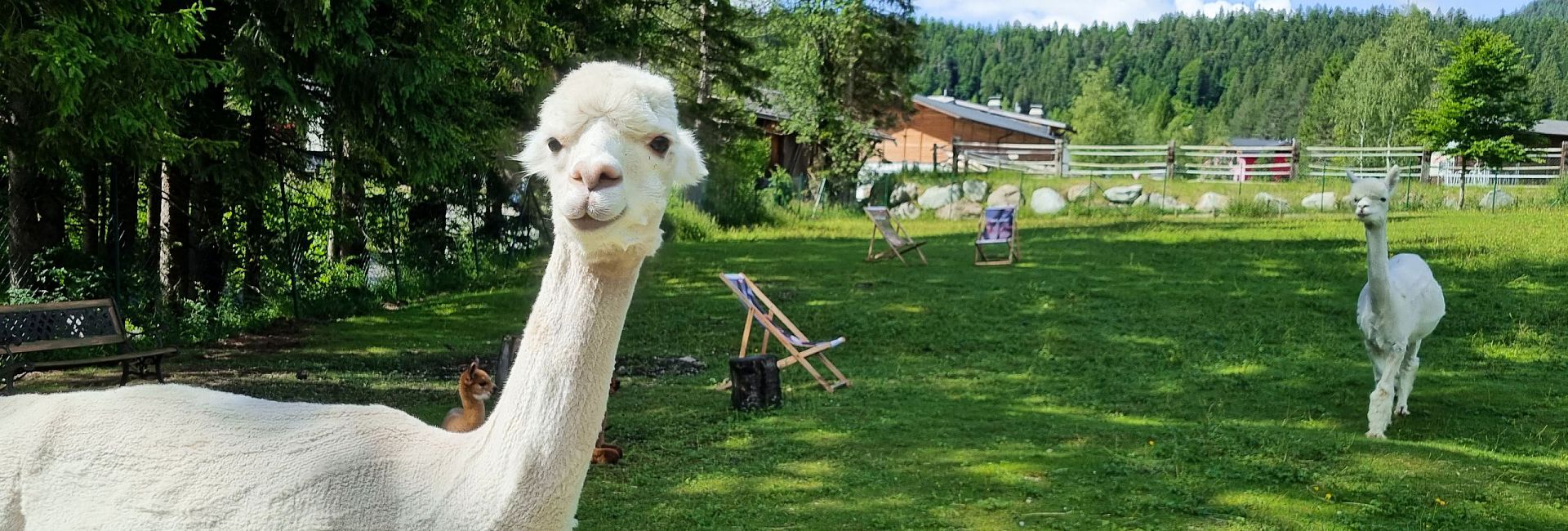 Summer experiences in Seefeld region